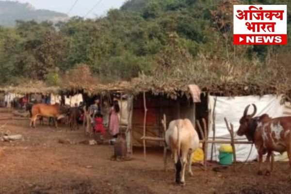 7 दिवस गाव ओस पडतं! ‘Gavpalna Shirale Village’ परंपरा थरारक की अद्भुत ...